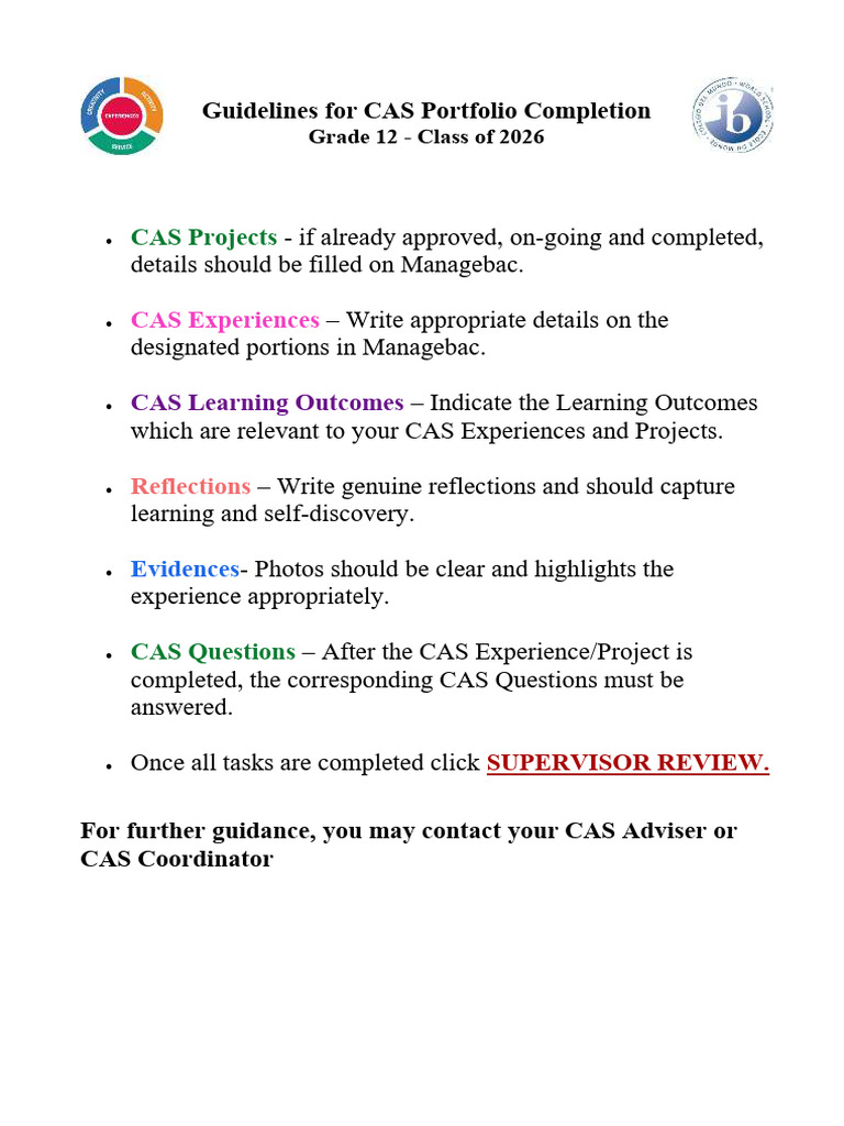 CAS Portfolio Completion Guidelines | PDF