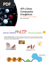 Funciones y síntesis del ATP en células | PDF | Trifosfato de adenosina ...