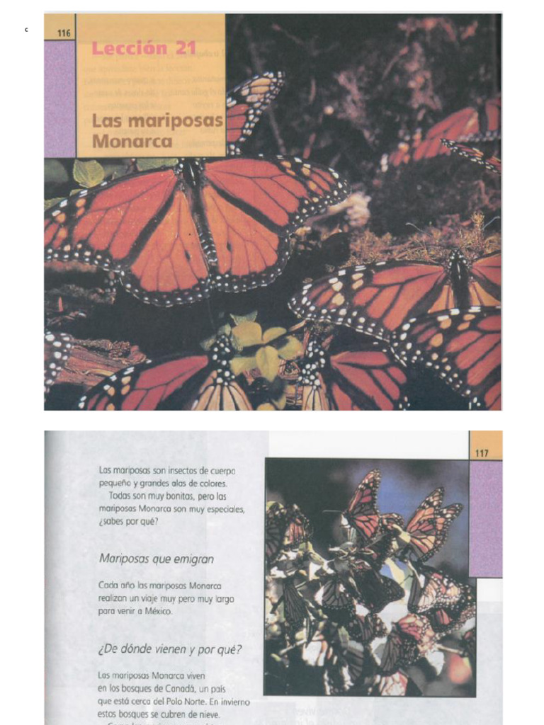 La Mariposa Monarca | PDF