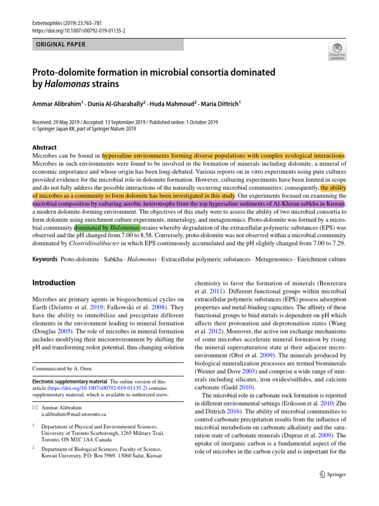 2019proto Dolomite Formation in Microbial Consortia | PDF