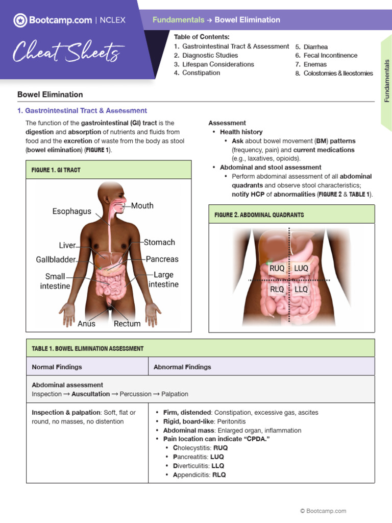 Bowel Elimination Cheat Sheet | PDF | Constipation | Diarrhea
