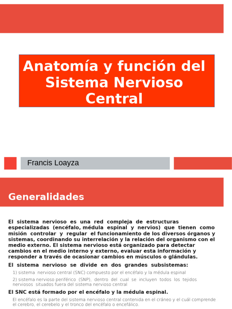 SNC Anatomía y Función | PDF