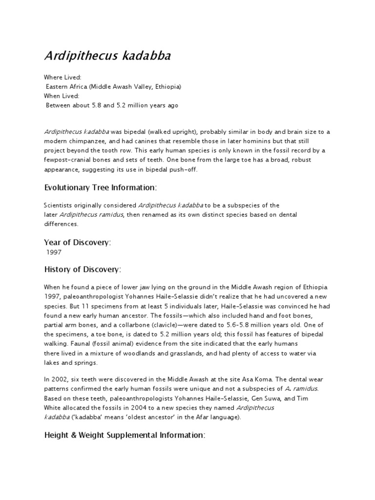 Ardipithecus Kadabba | PDF | Homo | Human Evolution