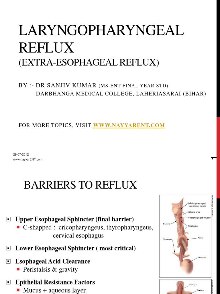 Laryngopharyngeal Reflux 2 | Gastroesophageal Reflux Disease | Esophagus