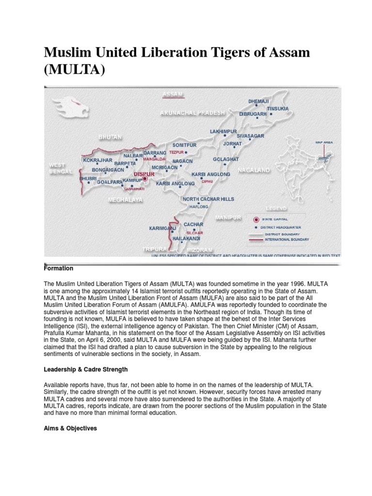 Muslim United Liberation Tigers of Assam | PDF | Inter Services ...