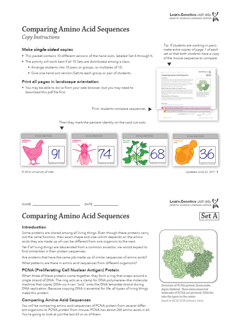 Evolution Practice Problems Comparing Amino Acids (Protein Structures ...