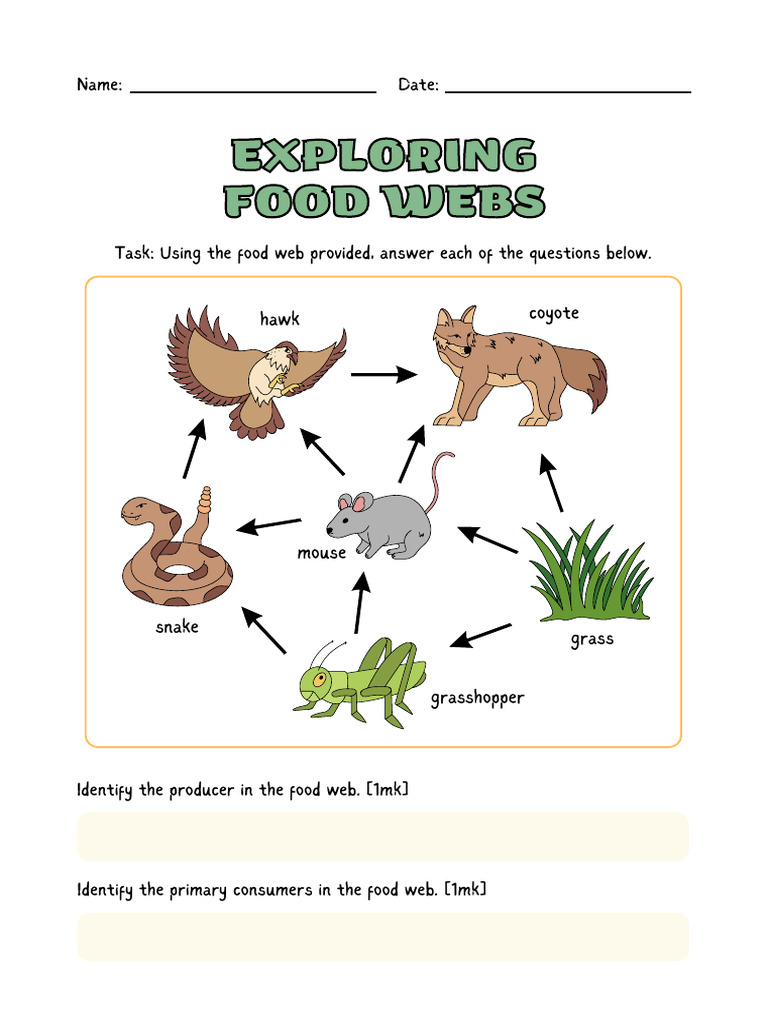Food Chain & Life Cycle | PDF | Foods | Frog