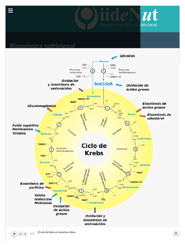Bioquimica Nutricional Archivos IIDENUT | PDF | Coagulación | Leche