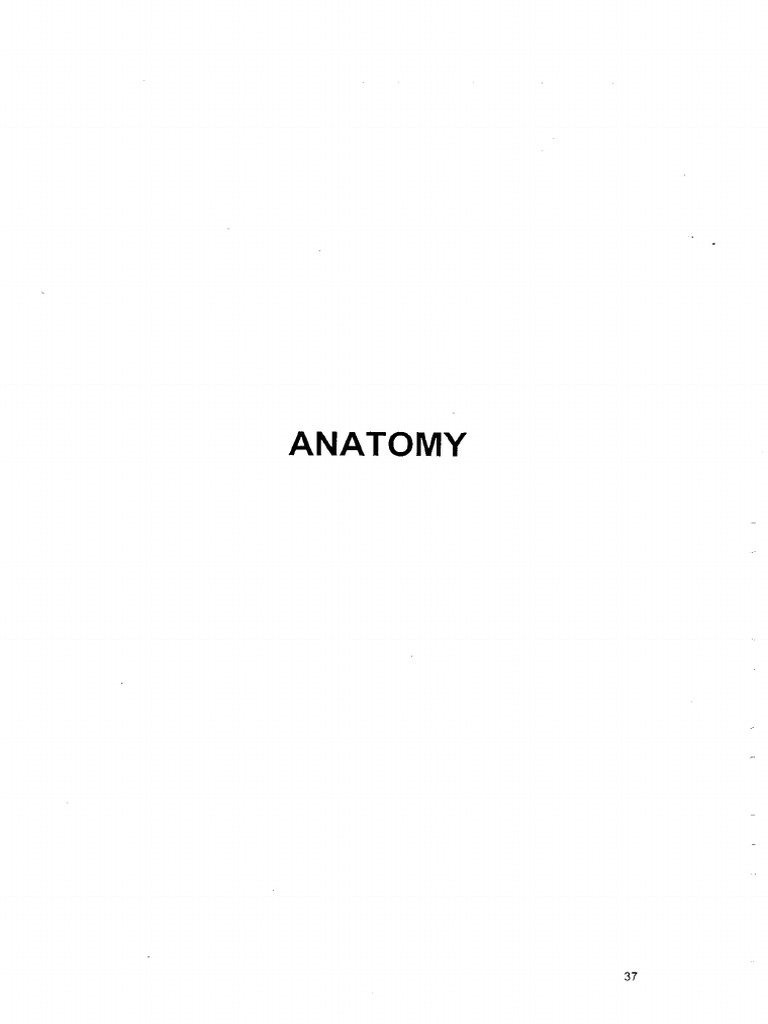 (2023) Ple Reviewer Anatomy | PDF