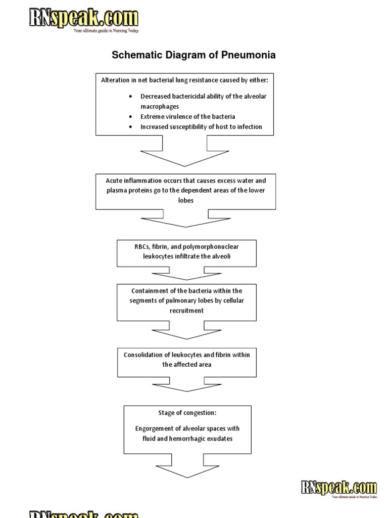 Pneumonia Pathophysiology Diagram | PDF