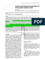 Class 9 Sentence Rearrangement Exercises | PDF | Nature | Wellness