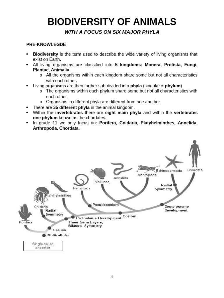 Animal Diversity Note 2024 Learners Version | PDF
