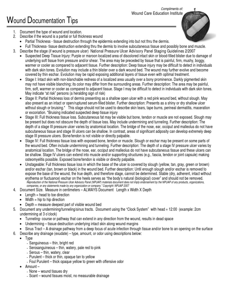 Wound Documentation Guidelines | PDF