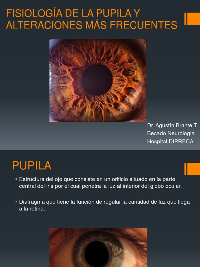 Pupila | PDF | Ojo humano | Ojo
