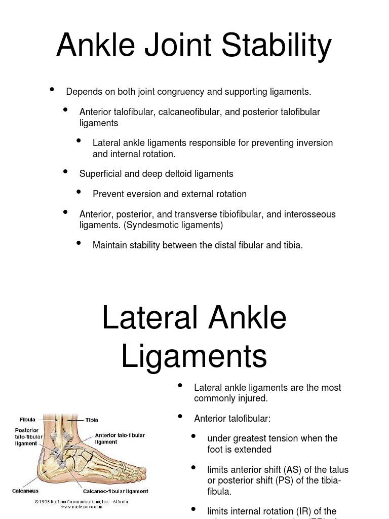 Biomechanics Ankle Presentation Pdf Ankle Foot