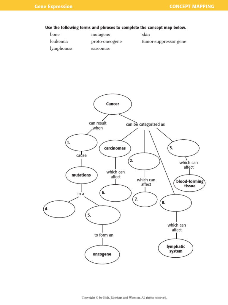 Concept Map Gene Expression | PDF