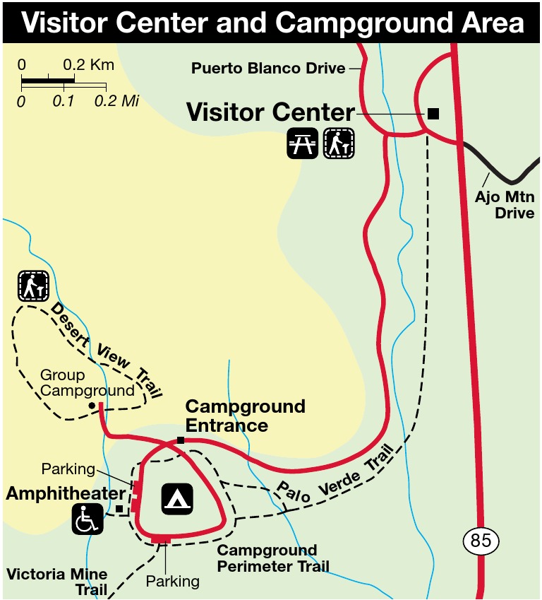 Organ Pipe Cactus Map Overview | PDF | Home & Garden | Science ...