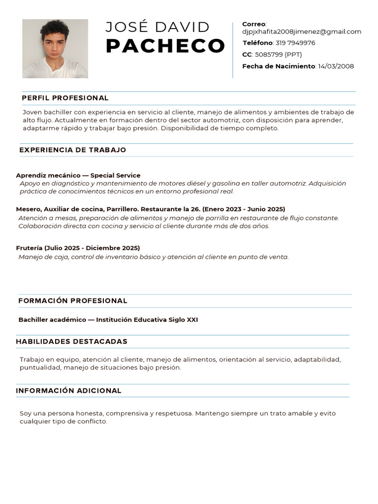 CV David | PDF