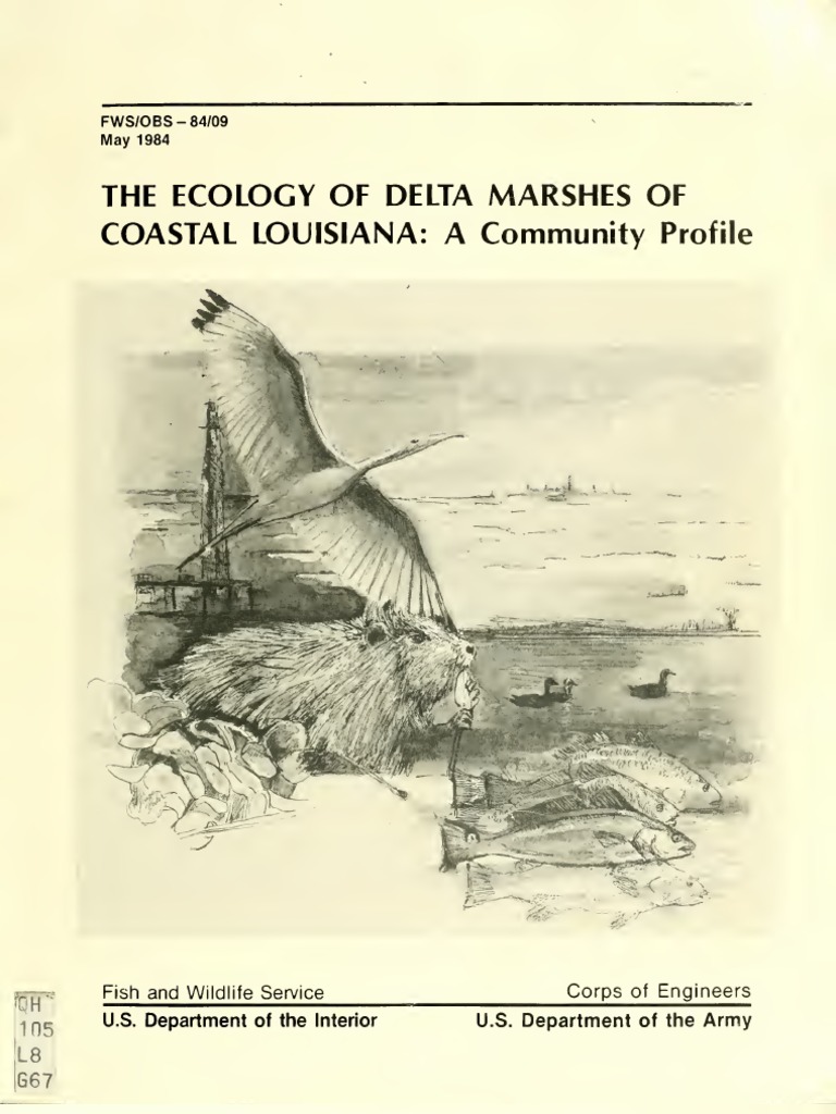 Mississippi River Delta Marshes Ecology (1984) | PDF | Wetland | River ...