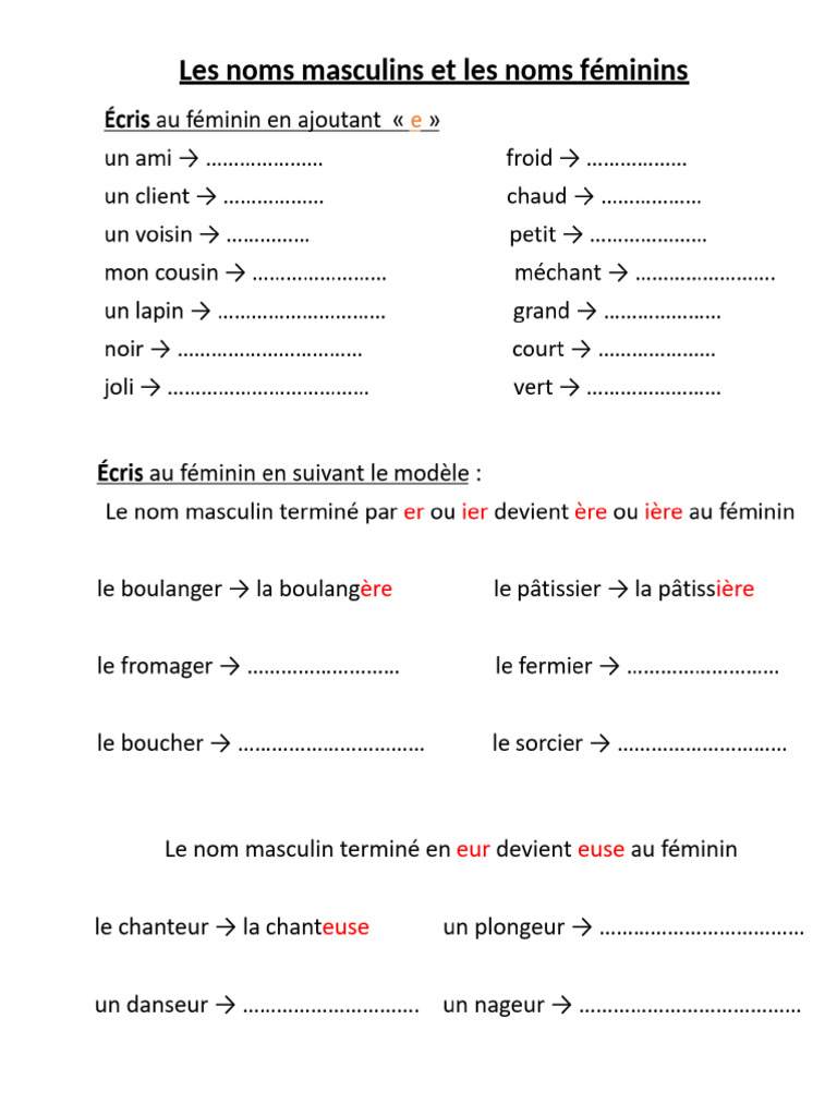 Les Noms Masculins Et Les Noms Féminins - CP | PDF