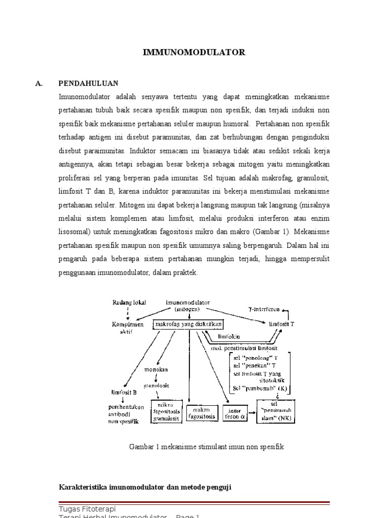 Karakteristik dan Fungsi Imunomodulator | PDF