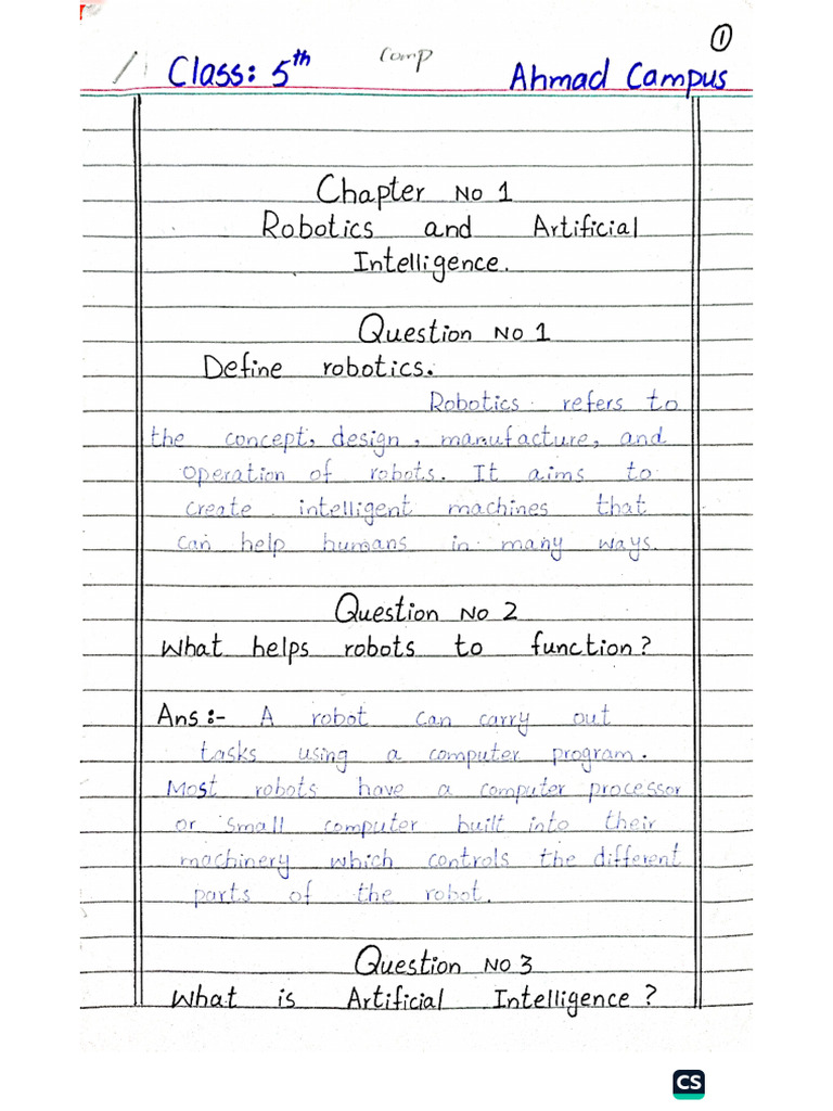 Computer Class 5th 1st Term | PDF