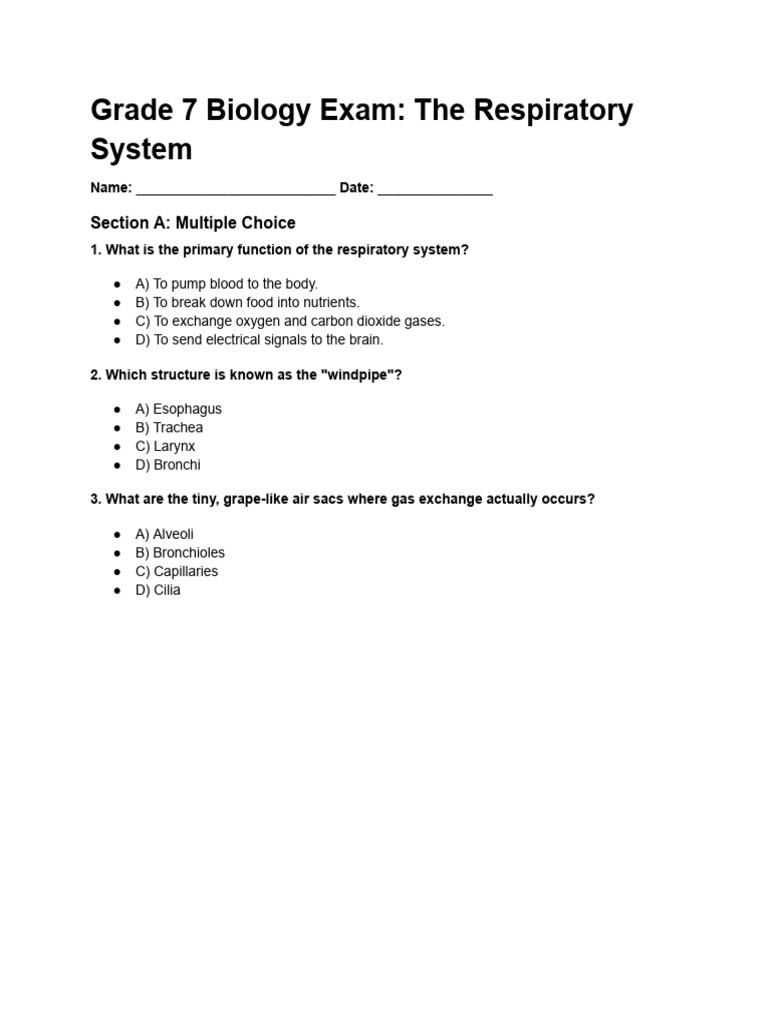 Grade 7 Biology Exam - The Respiratory System | PDF | Respiratory Tract ...