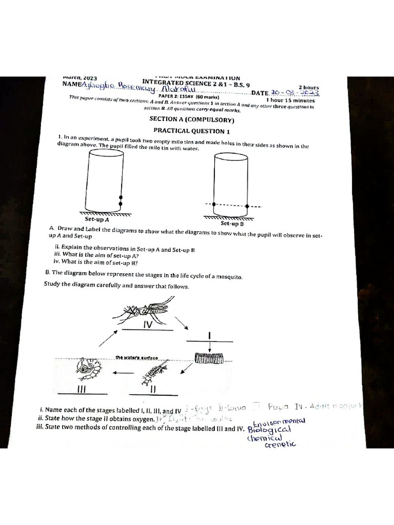 Sci Mock | PDF