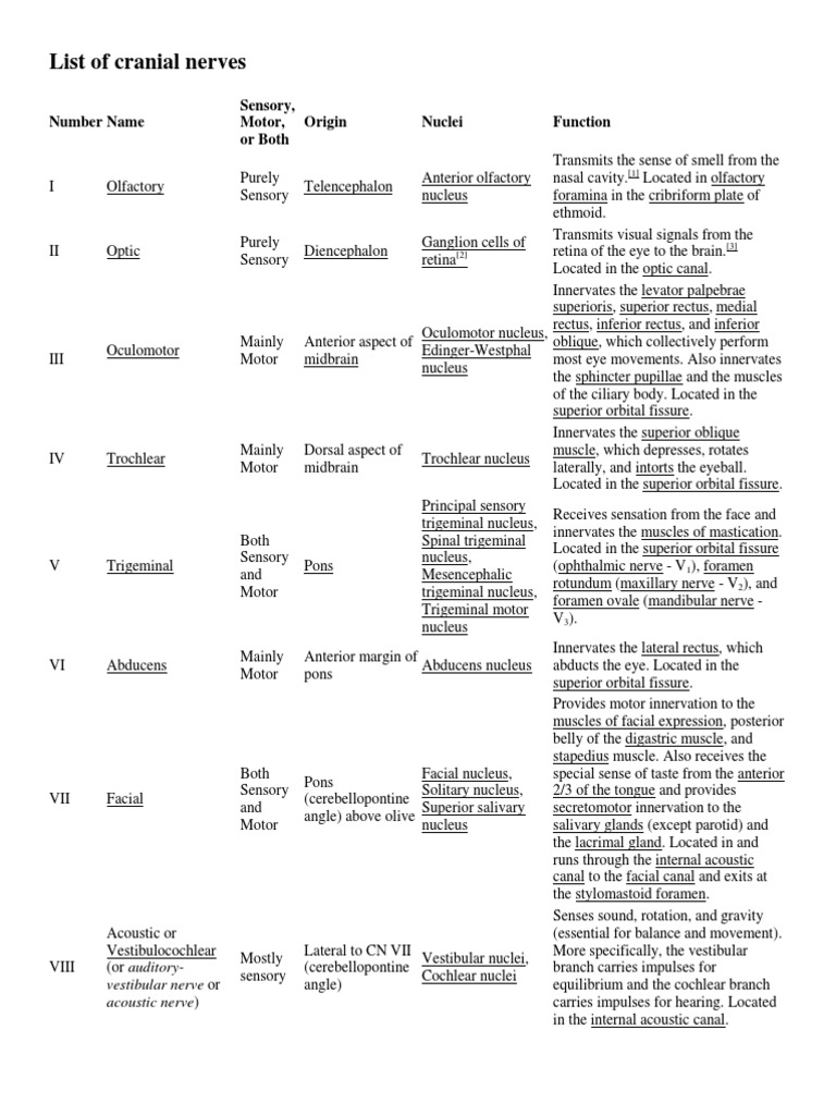 List of Cranial Nerves | PDF | Organ (Anatomy) | Neurology