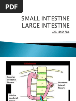 Sigmoid Colon Length and Anatomy | PDF | Large Intestine | Rectum