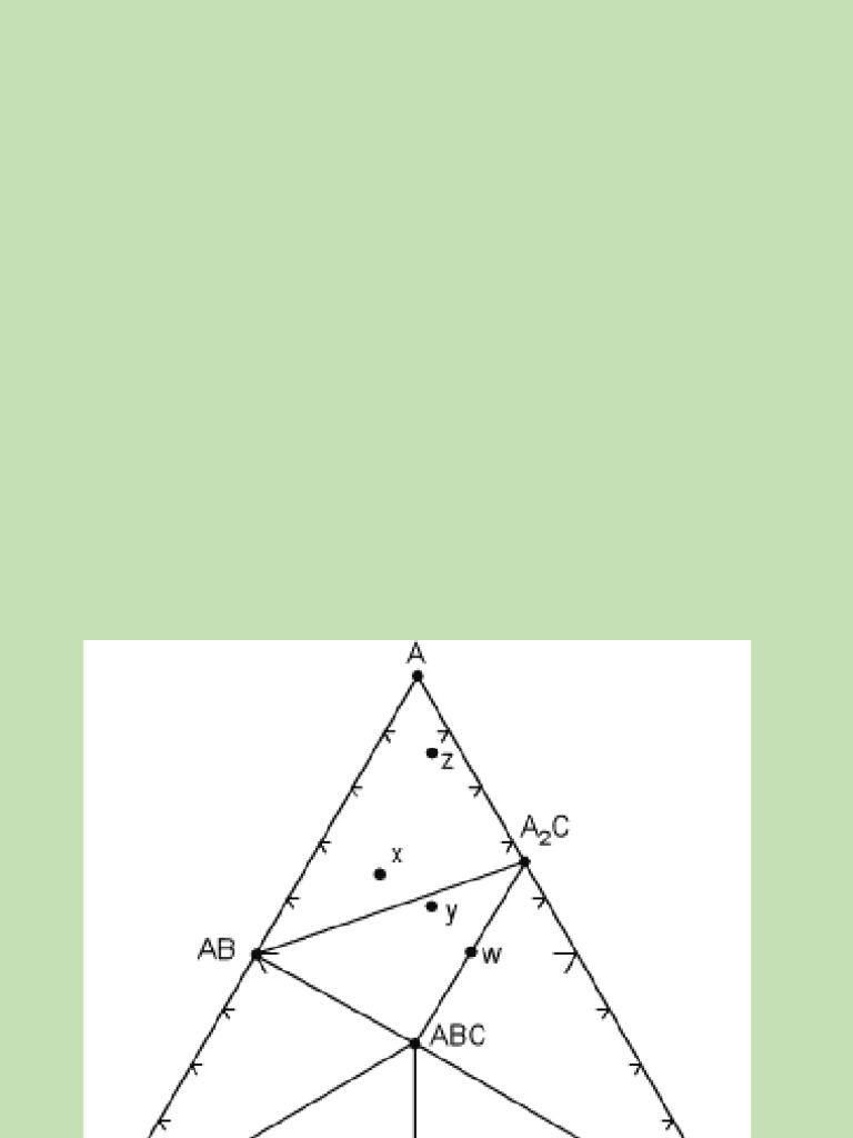 Chemographic Projections and Mafic Facies | PDF | Rocks | Geology