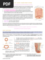 Anatomia das Vísceras Humanas | PDF | Corpo humano | Anatomia
