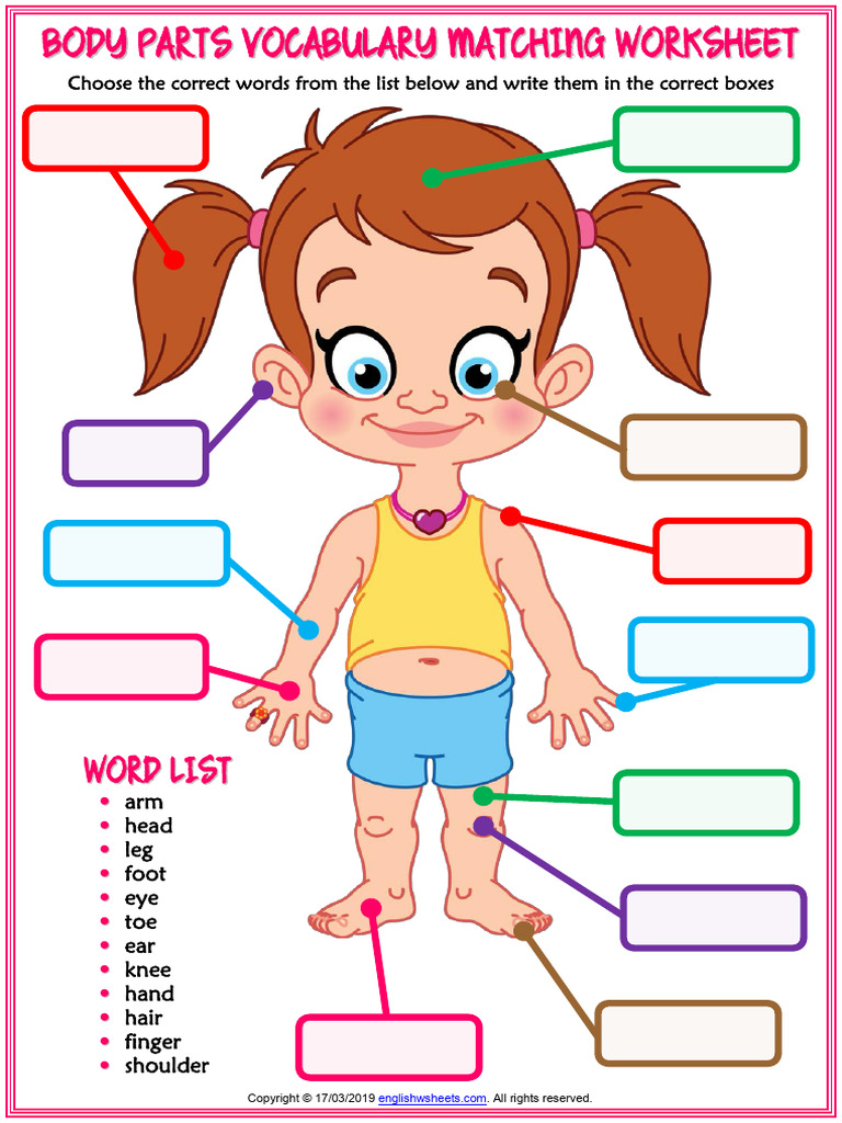 Body Parts Vocabulary Esl Matching Exercise Worksheet For Kids | PDF