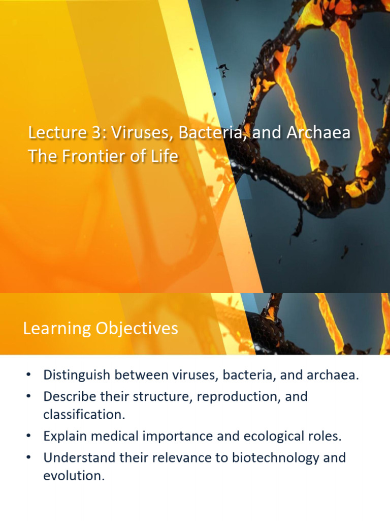 Lecture 3 Viruses Bacteria and Archaea | PDF | Virus | Bacteria