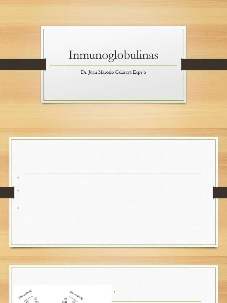 Inmunoglobulinas Pdf Anticuerpo Antígeno