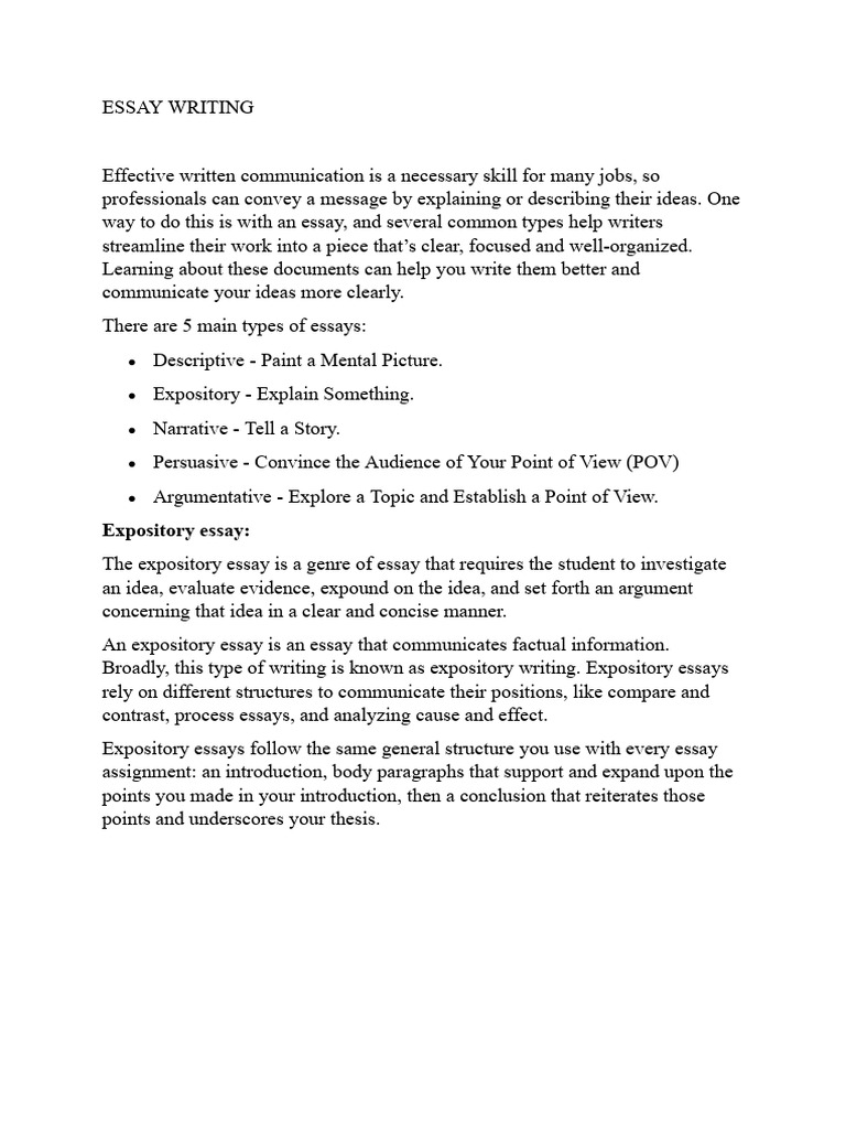 Expository Essay | PDF