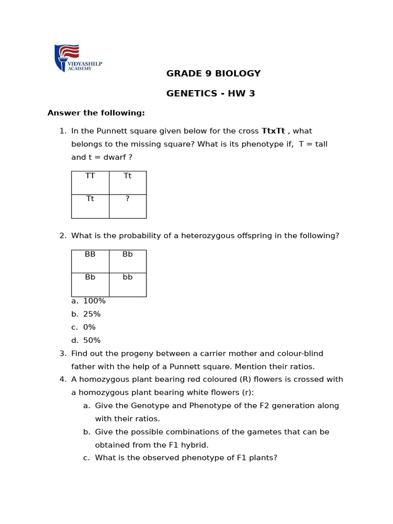 Grade 9 Biology Genetics - HW 3: Answer The Following: TTXTT | PDF