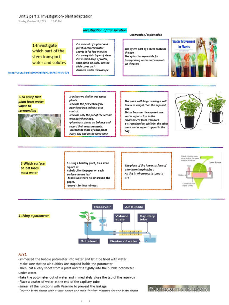 Unit 2 Part 3 Investigation - Plant Adaptation | PDF | Leaf | Plants