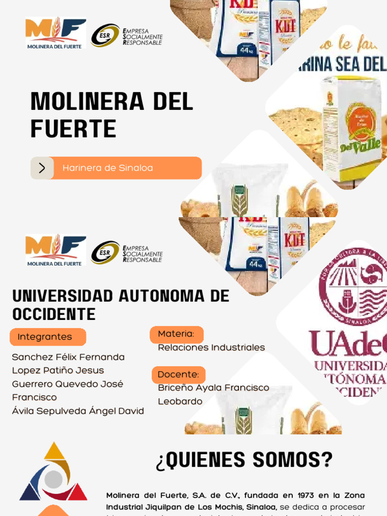 Molinera Del Fuerte Presentación | PDF | Calidad (comercial) | Gestión ...