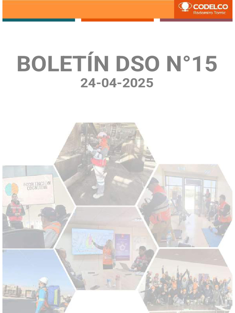 Boletín Informativo DSO N°15 | PDF | Influenza | Especialidades Medicas