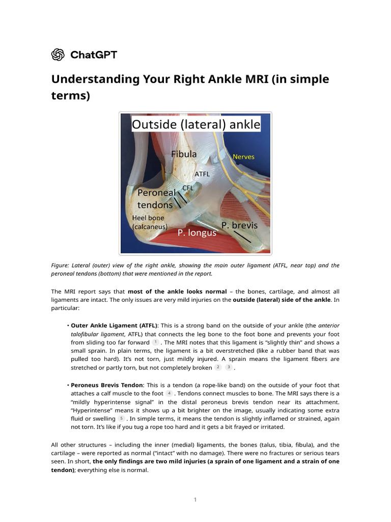 Understanding Your Right Ankle MRI (In Simple Terms) | PDF | Ankle | Foot