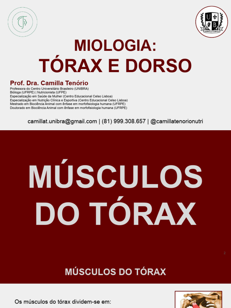 Aula 4 - Músculos Do Tórax e Dorso | PDF | Sistema Locomotor | Anatomia ...