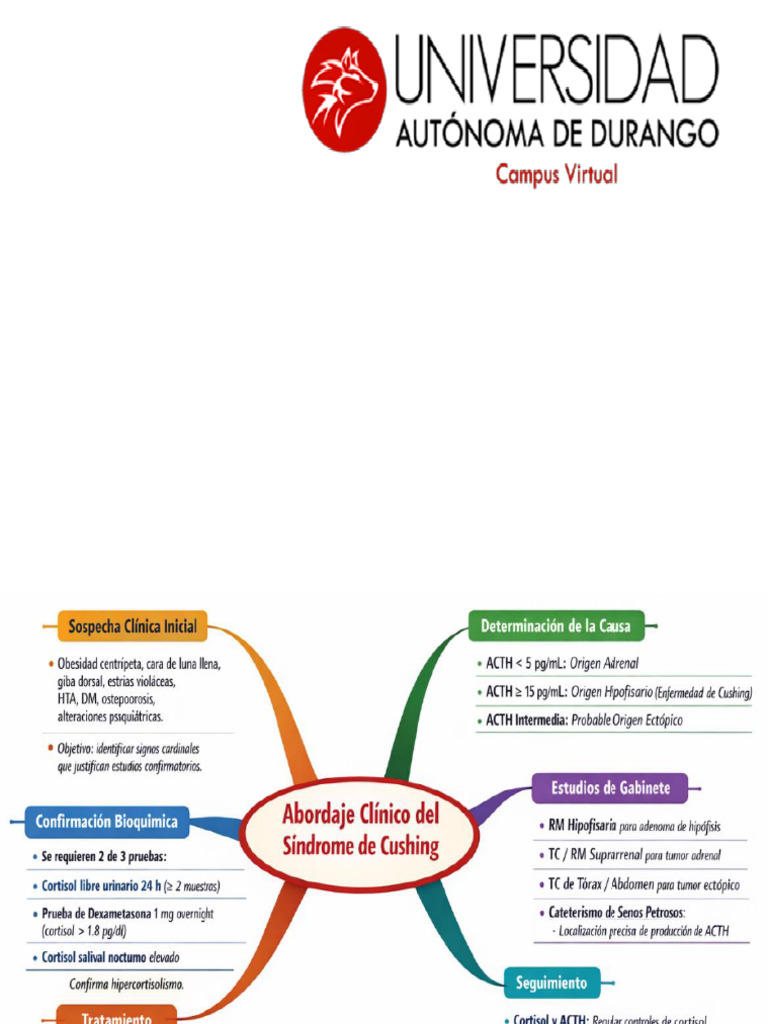 Proy Sem 2 | PDF