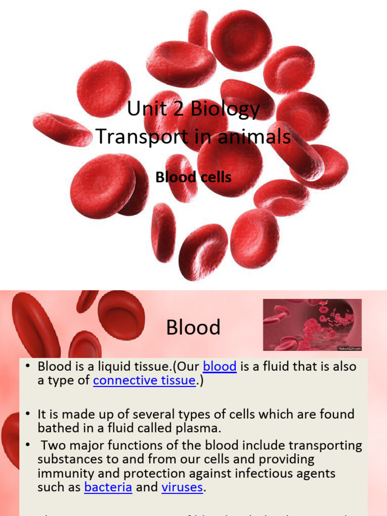 Blood Cells-Structure & Function | PDF | Granulocyte | White Blood Cell