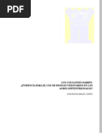 Regiones Economicas de Chiapas | PDF | Chiapas | Mesoamérica