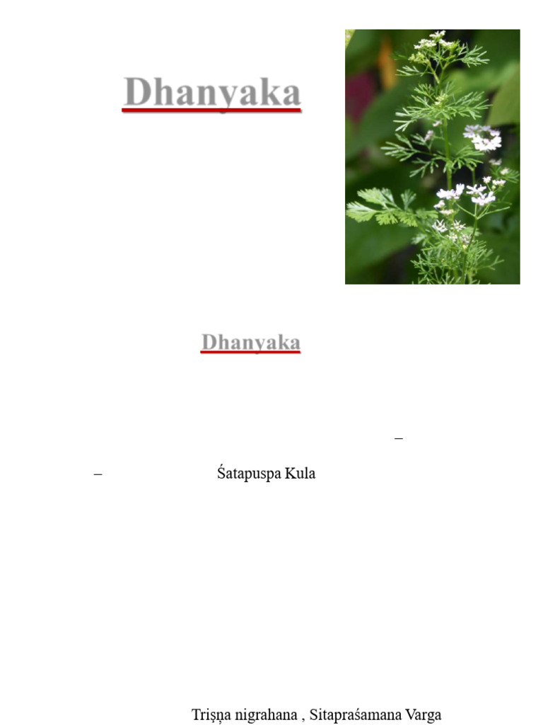 Dhanyak | PDF