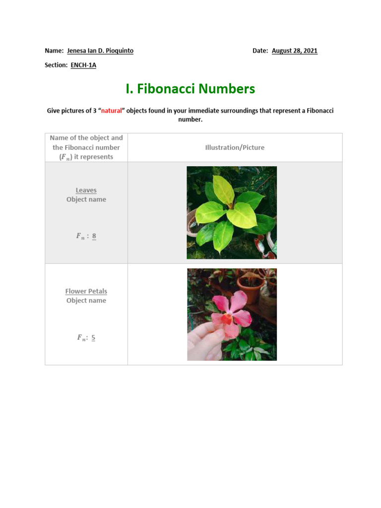 Pioquinto - Golden Ratio Activity | PDF | Mathematics