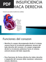 Fisiopatología Del Acv Isquémico | PDF | Carrera | Isquemia