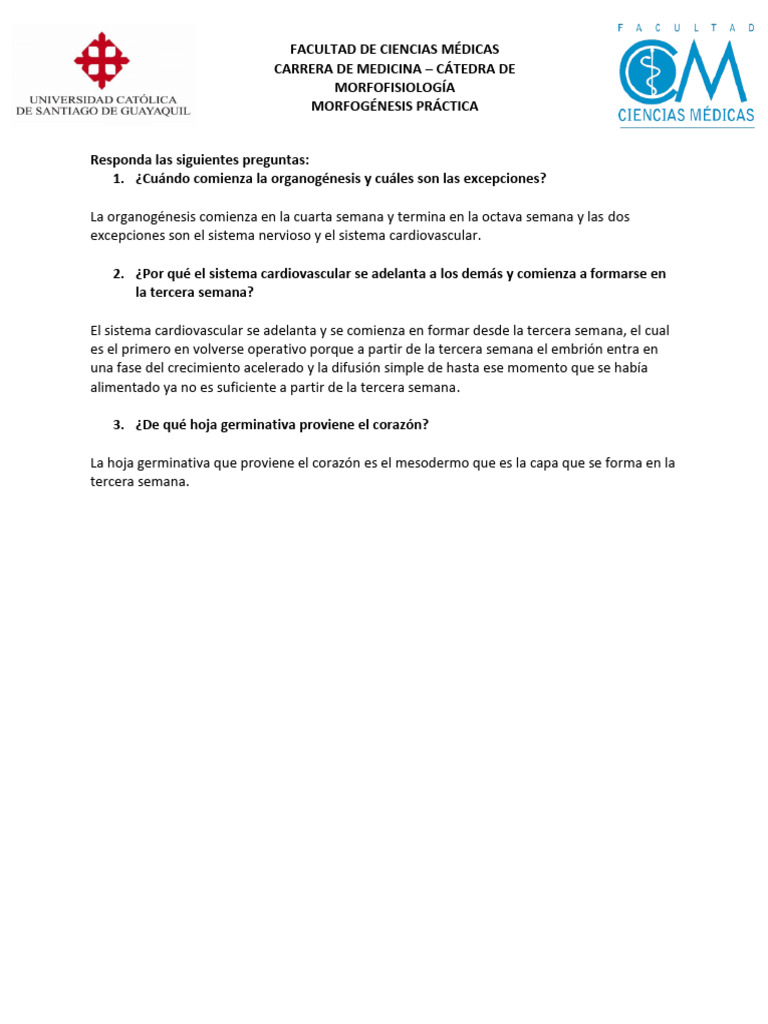 TAREA 1 Ficha de Práctica de Morfogénesis.-2 | PDF