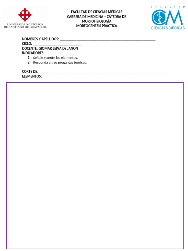 Ficha de Práctica de Morfogénesis. | PDF | Biología | Medicina